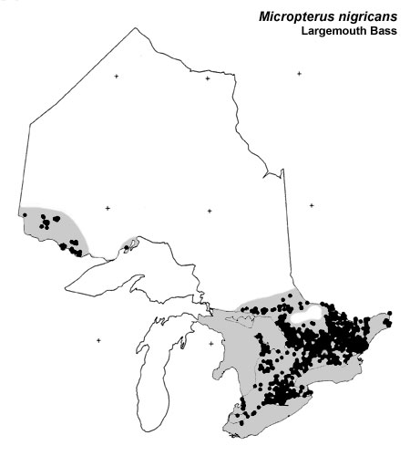 Ontario Freshwater Fishes Life History Database Species Detail